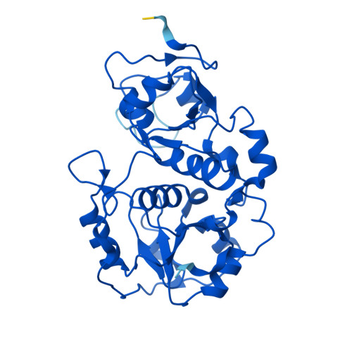 RCSB PDB - AF_AFP9WHF6F1: Computed structure model of Putative ...