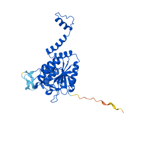RCSB PDB - AF_AFP9WNP4F1: Computed structure model of 1,4-dihydroxy-2 ...