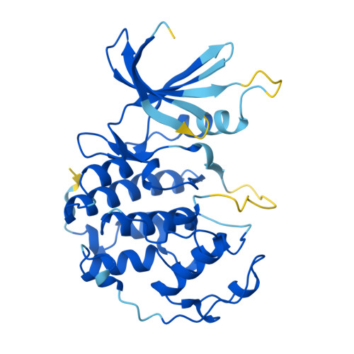 RCSB PDB - AF_AFQ00535F1: Computed structure model of Cyclin-dependent ...