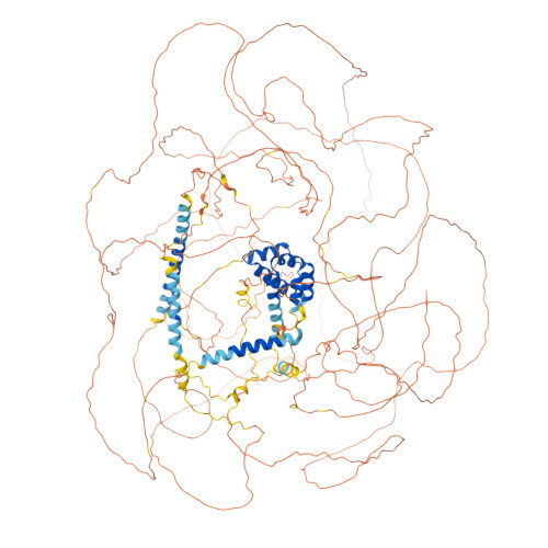 RCSB PDB - AF_AFQ01484F13: Computed structure model of Ankyrin-2