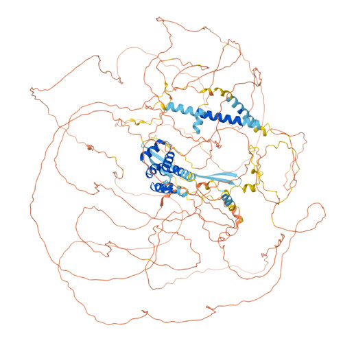 RCSB PDB - AF_AFQ01484F14: Computed structure model of Ankyrin-2