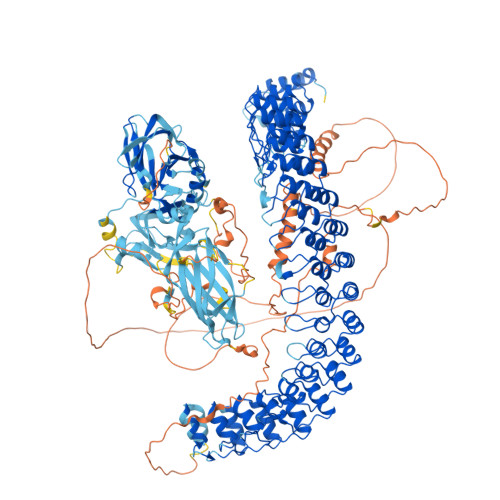 RCSB PDB - AF_AFQ01484F2: Computed structure model of Ankyrin-2