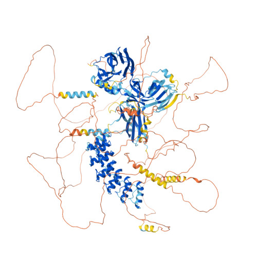 RCSB PDB - AF_AFQ01484F4: Computed structure model of Ankyrin-2