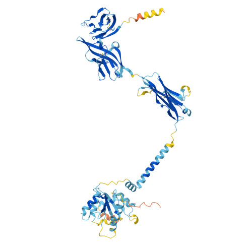 RCSB PDB - AF_AFQ01638F1: Computed structure model of Interleukin-1 ...