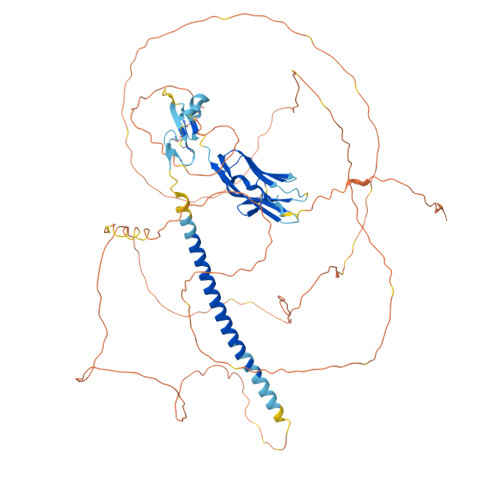 RCSB PDB - AF_AFQ02297F1: Computed structure model of Pro-neuregulin-1 ...