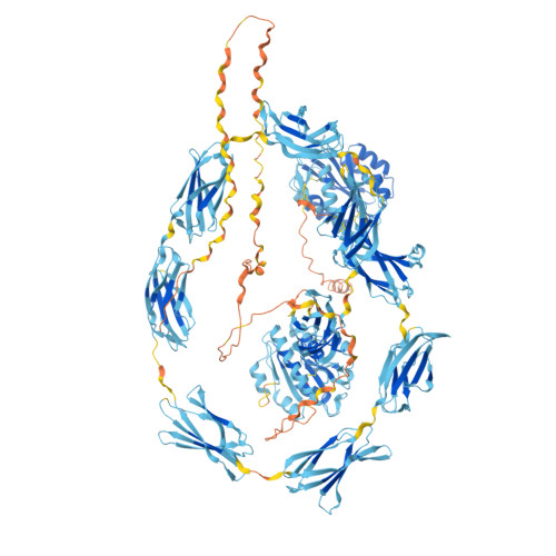 RCSB PDB - AF_AFQ02388F1: Computed structure model of Collagen alpha-1 ...