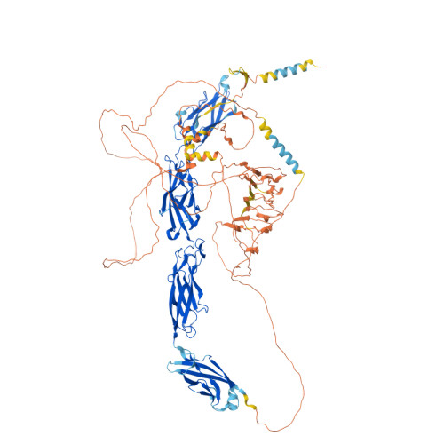 RCSB PDB - AF_AFQ02413F1: Computed structure model of Desmoglein-1