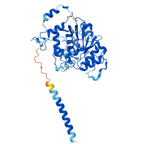RCSB PDB - AF_AFQ02734F1: Computed structure model of CMP-N ...