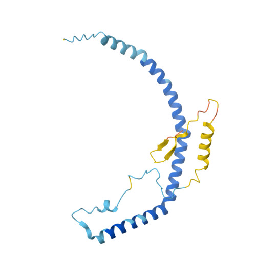 RCSB PDB - AF_AFQ03135F1: Computed structure model of Caveolin-1