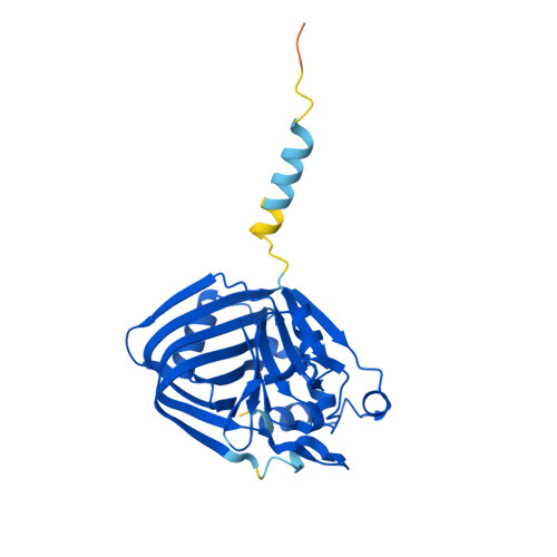 RCSB PDB - AF_AFQ04518F1: Computed structure model of Alpha ...