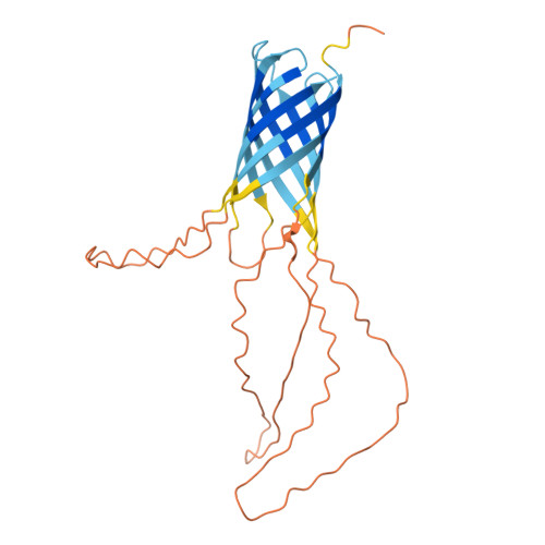 RCSB PDB - AF_AFQ04875F1: Computed structure model of Opacity protein opA52