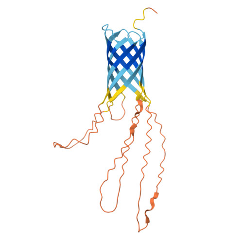 RCSB PDB - AF_AFQ04878F1: Computed structure model of Opacity protein opA55