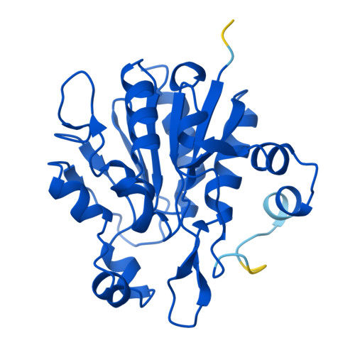 RCSB PDB - AF_AFQ04902F1: Computed structure model of Probable ...