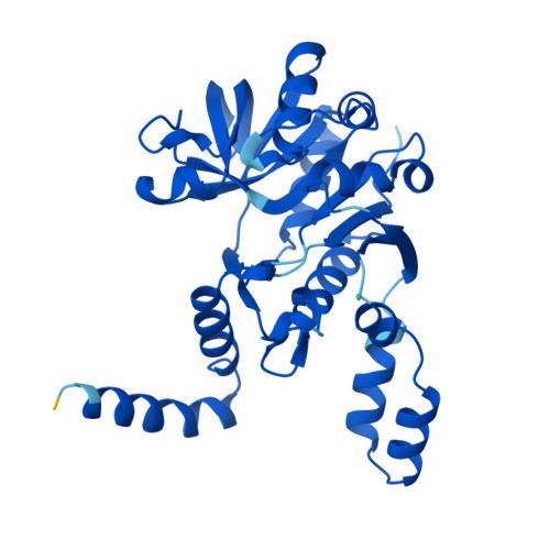 RCSB PDB - AF_AFQ05852F1: Computed structure model of UTP--glucose-1 ...