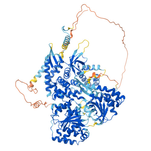 RCSB PDB - AF_AFQ05B79F1: Computed structure model of ATP-dependent DNA ...