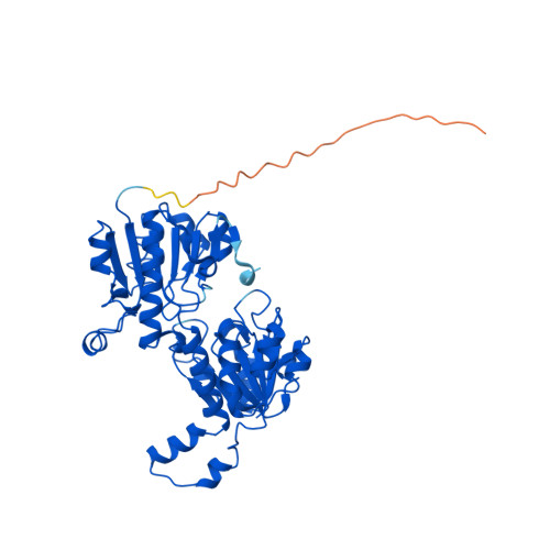RCSB PDB - AF_AFQ07511F1: Computed structure model of Formate ...