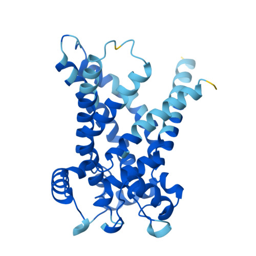 RCSB PDB - AF_AFQ09073F1: Computed structure model of ADP/ATP translocase 2
