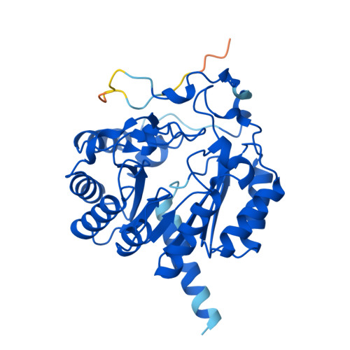 RCSB PDB - AF_AFQ0BSW6F1: Computed structure model of Lipoyl synthase