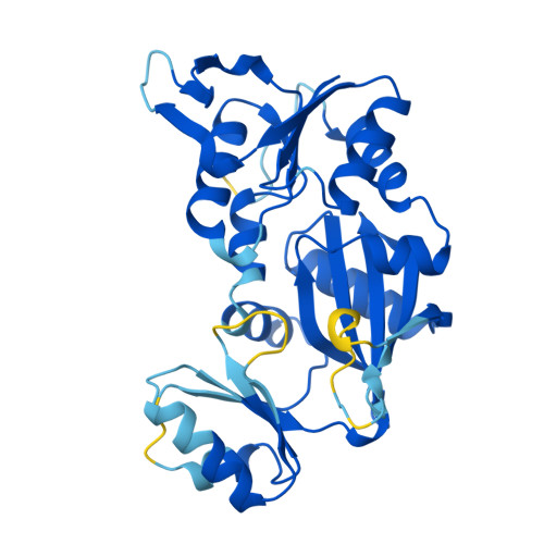 RCSB PDB - AF_AFQ0TJJ6F1: Computed structure model of Ribosomal protein ...