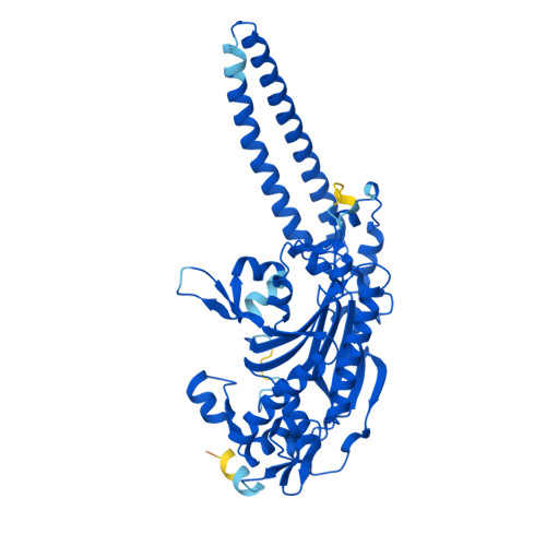 RCSB PDB - AF_AFQ10QF5F1: Computed structure model of Seryl-tRNA synthetase