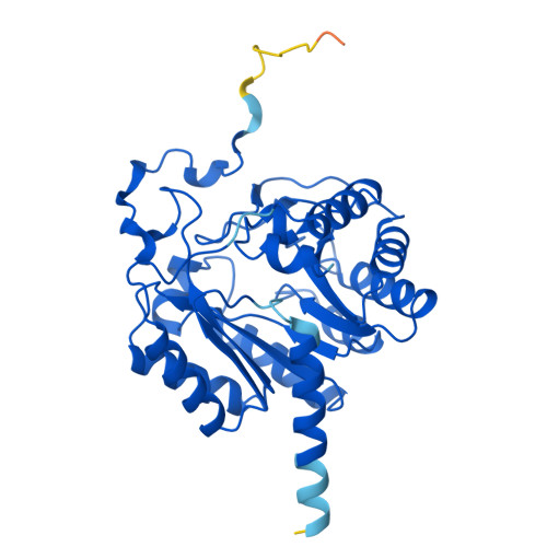 RCSB PDB - AF_AFQ11HV6F1: Computed structure model of Lipoyl synthase