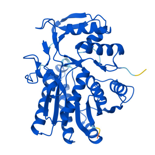 RCSB PDB - AF_AFQ14376F1: Computed structure model of UDP-glucose 4 ...