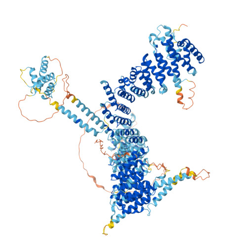 RCSB PDB - AF_AFQ15021F1: Computed structure model of Condensin complex ...