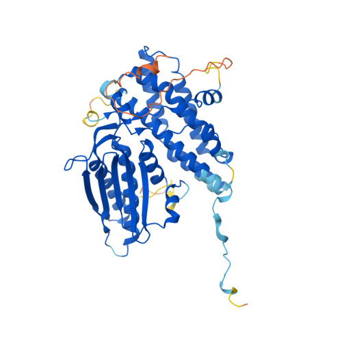 RCSB PDB - AF_AFQ15118F1: Computed structure model of [Pyruvate ...