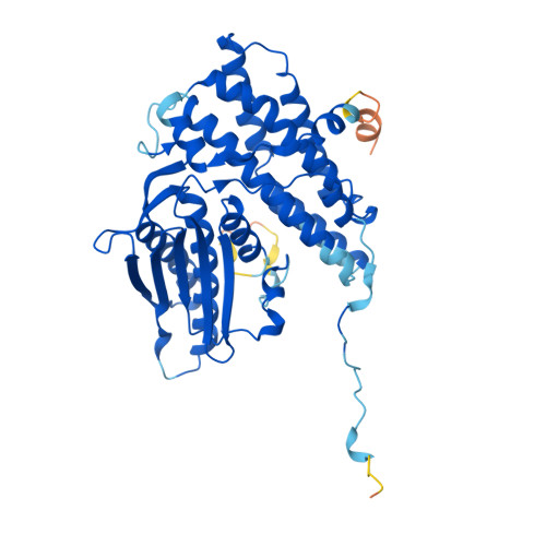 RCSB PDB - AF_AFQ15120F1: Computed structure model of [Pyruvate ...
