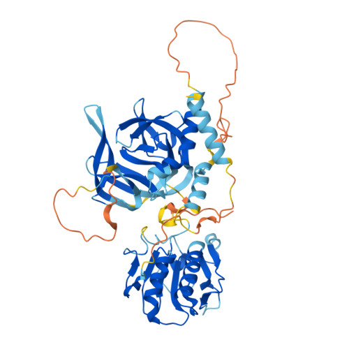 RCSB PDB - AF_AFQ15465F1: Computed structure model of Sonic hedgehog ...