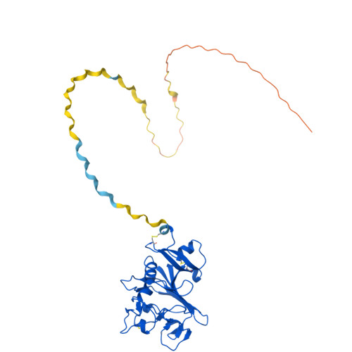 RCSB PDB - AF_AFQ15485F1: Computed structure model of Ficolin-2