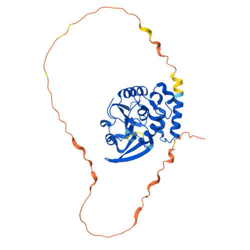 RCSB PDB - AF_AFQ1BGY4F1: Computed structure model of Protein-L ...