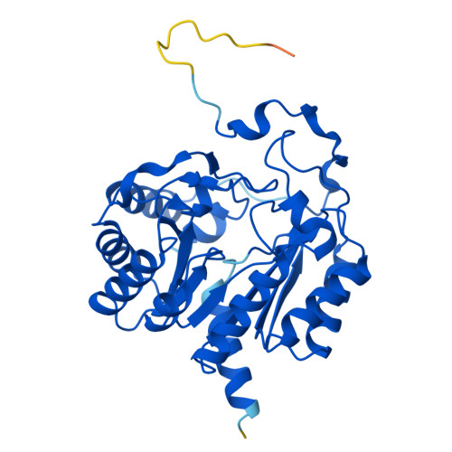 RCSB PDB - AF_AFQ214R4F1: Computed structure model of Lipoyl synthase