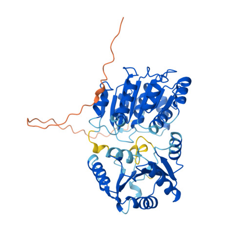 RCSB PDB - AF_AFQ29024F1: Computed structure model of Spliceosome RNA ...