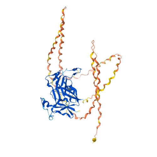 RCSB PDB - AF_AFQ29442F1: Computed structure model of Collagen alpha-4 ...