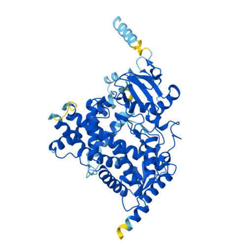 RCSB PDB - AF_AFQ29497F1: Computed structure model of Steroid 17-alpha ...
