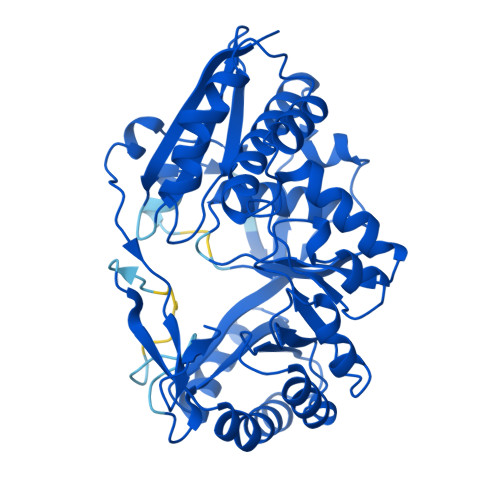 RCSB PDB - AF_AFQ2CIN0F1: Computed structure model of D-galactonate ...