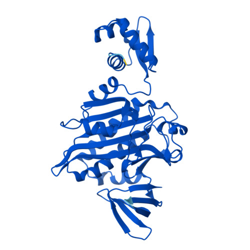 RCSB PDB - AF_AFQ2G258F1: Computed structure model of Bifunctional ...
