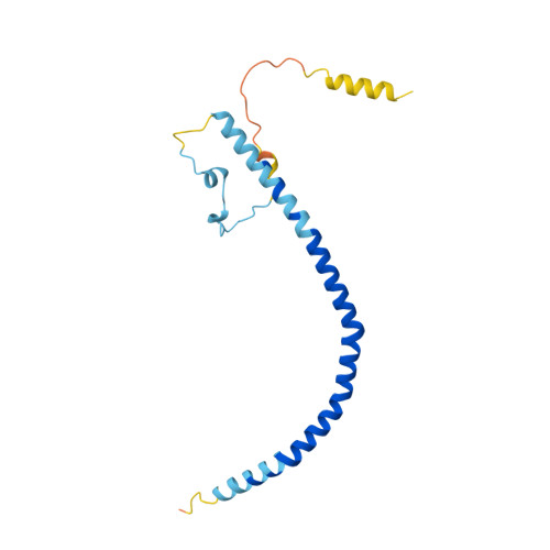 RCSB PDB - AF_AFQ2IBA4F1: Computed structure model of Caveolin-2