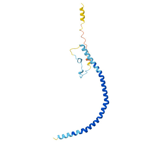 RCSB PDB - AF_AFQ2IBC2F1: Computed structure model of Caveolin-2