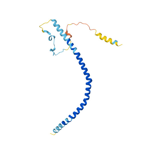 RCSB PDB - AF_AFQ2IBC5F1: Computed structure model of Caveolin-2