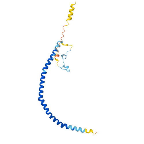RCSB PDB - AF_AFQ2IBD6F1: Computed structure model of Caveolin-2
