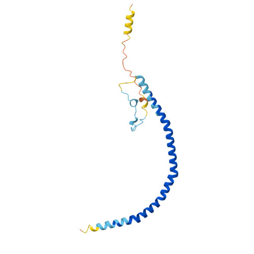 RCSB PDB - AF_AFQ2IBF3F1: Computed structure model of Caveolin-2