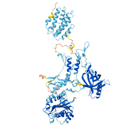 RCSB PDB - AF_AFQ2MHH2F1: Computed structure model of ATP-dependent DNA ...