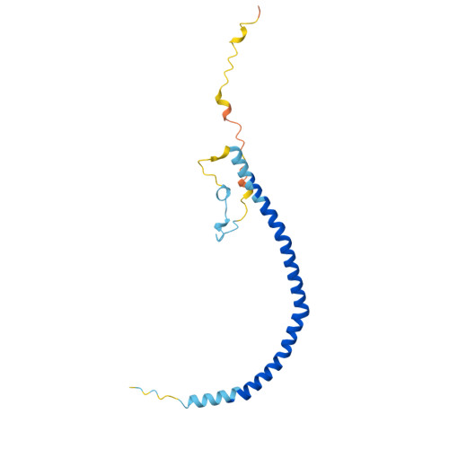 RCSB PDB - AF_AFQ2QLG7F1: Computed structure model of Caveolin-2