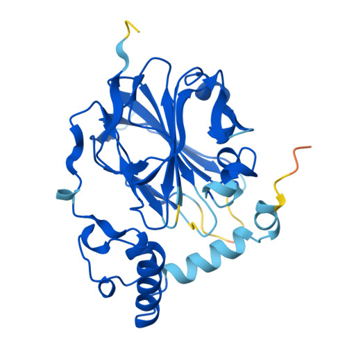 RCSB PDB - AF_AFQ2YB83F1: Computed structure model of ...