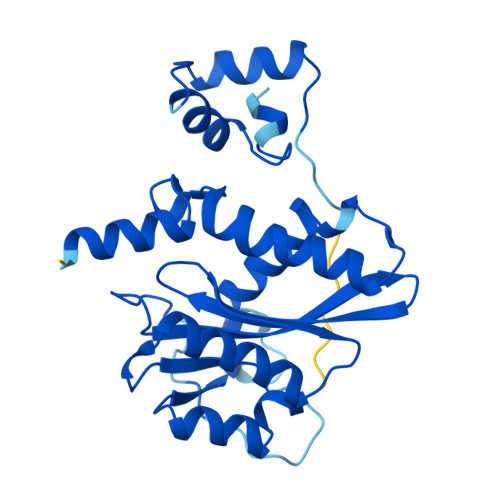 RCSB PDB - AF_AFQ32E68F1: Computed structure model of IS600 ORF2