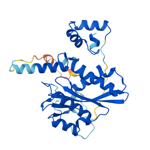 RCSB PDB - AF_AFQ32I26F1: Computed structure model of IS600 ORF2