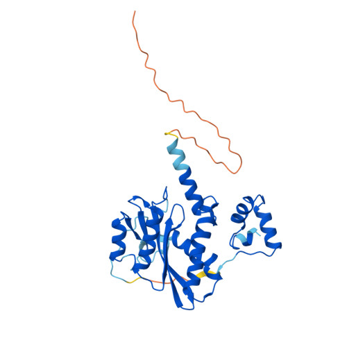 RCSB PDB - AF_AFQ32IE6F1: Computed structure model of IS600 ORF2