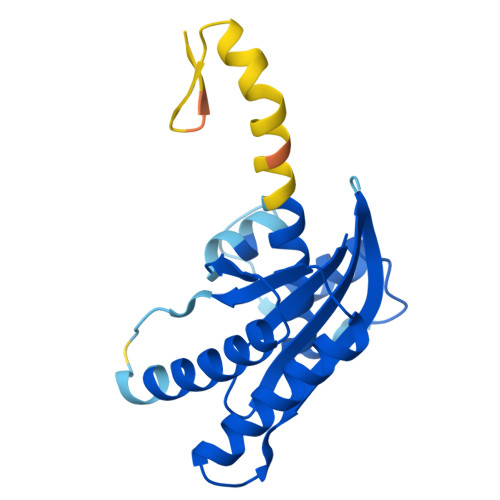 RCSB PDB - AF_AFQ39JI9F1: Computed structure model of Crossover ...